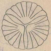 Japanese Heraldry Database