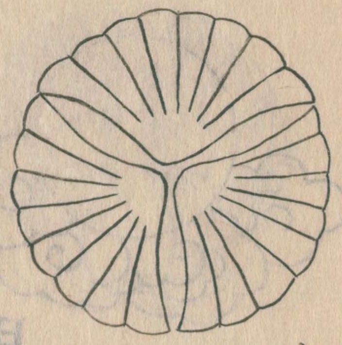 Japanese Heraldry Database: Three Shells